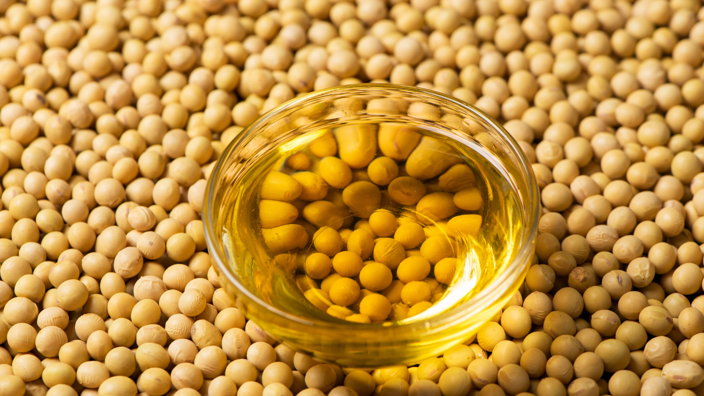The Silent Killer in Your Kitchen: Why Seed Oils May Be More Dangerous ...